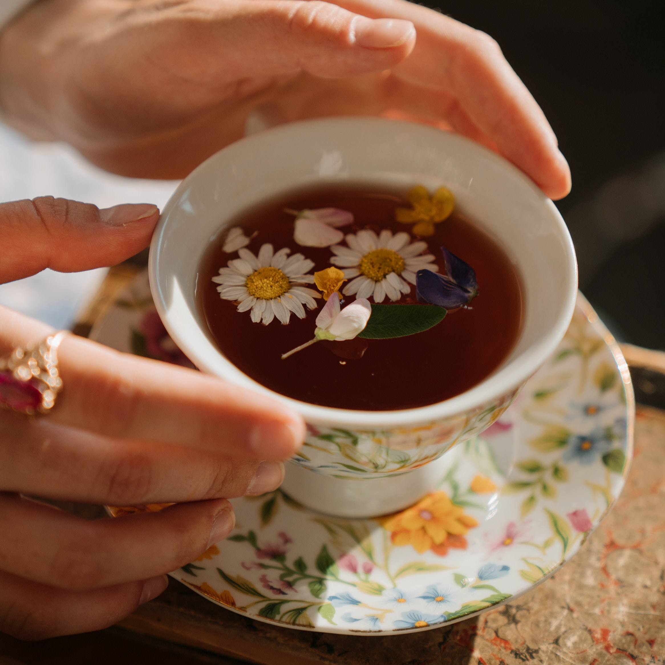 Want To Get Into Drinking Tea This Fall? Tea For Beginners Guide