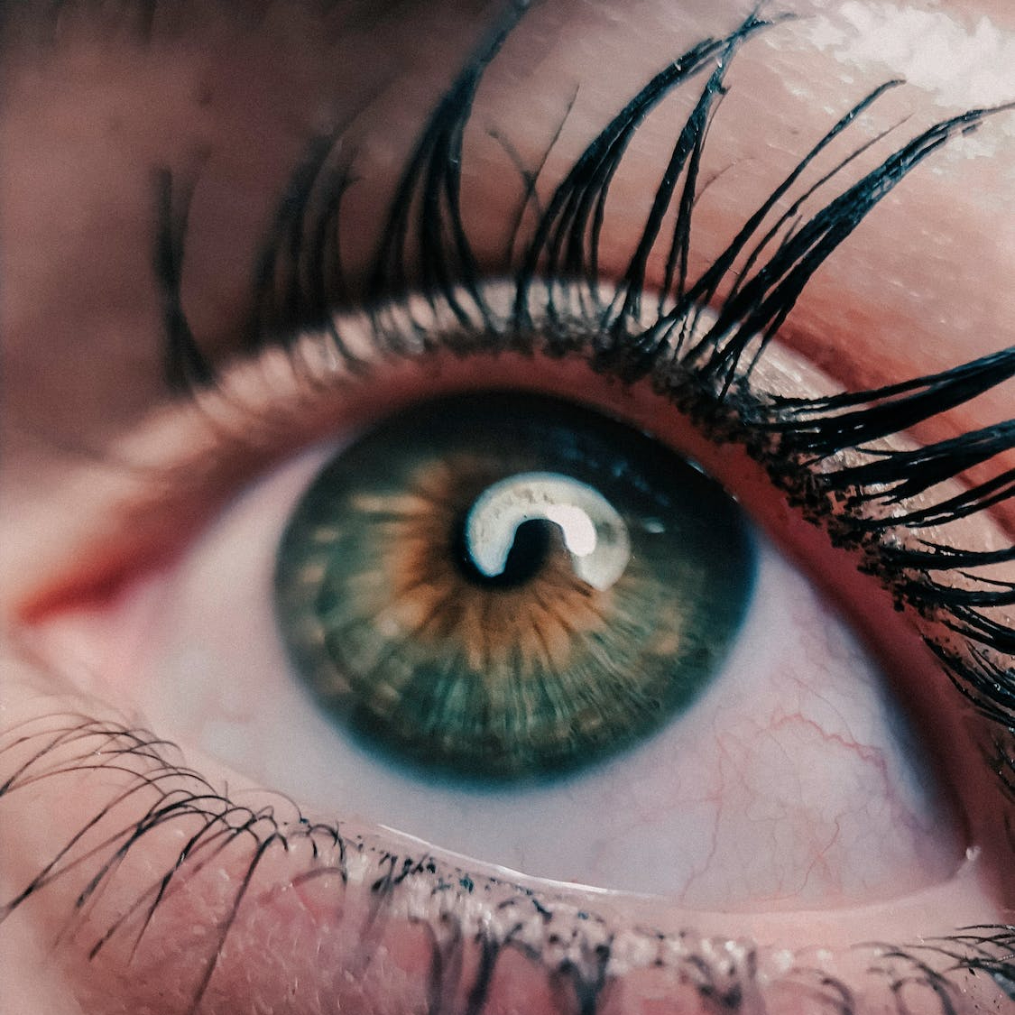 Is Tubing Mascara Better Than Regular Mascara? We Found Out