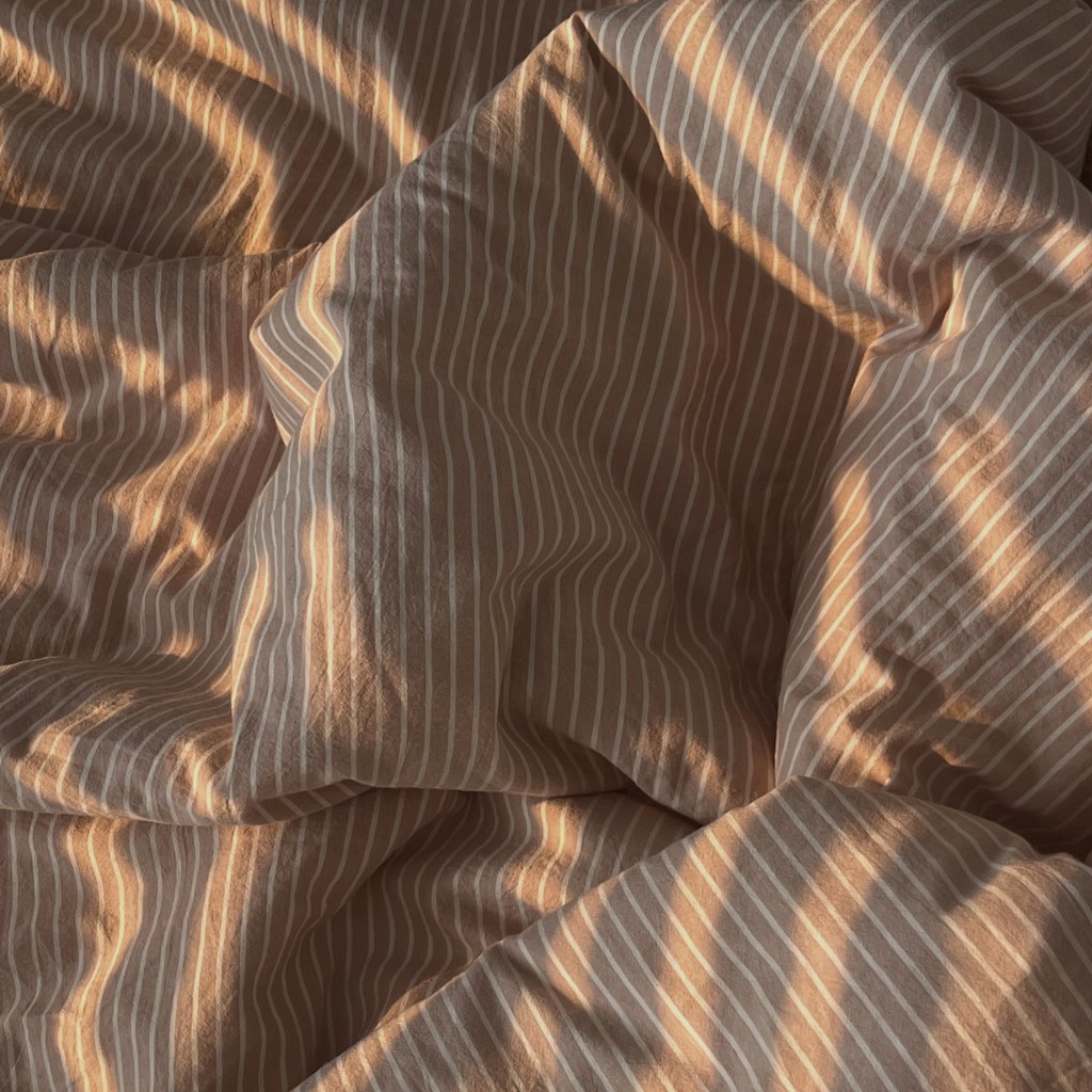 What Is Deja-reve And How Is It Different From Deja-vu?