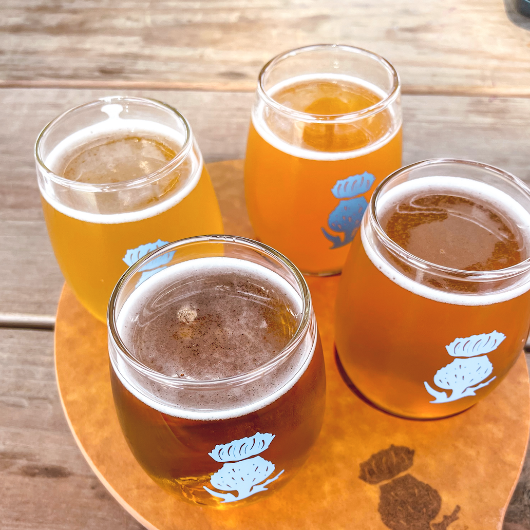 An Introduction Into Craft Beer For Beginners